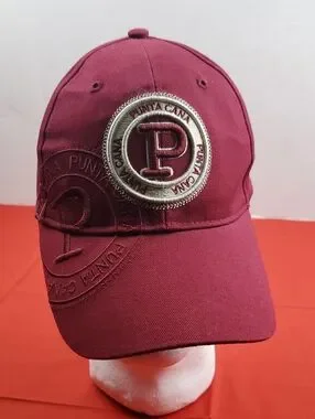 Robin Ruth | Accessories | Robin Ruth Burgundy Baseball Cap With Silver ...